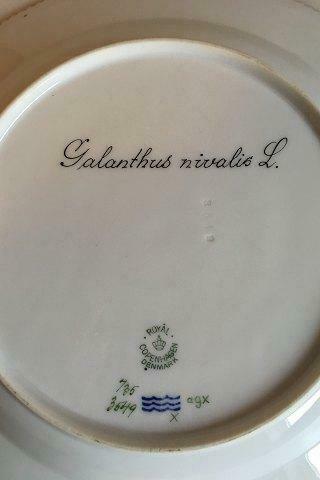 Royal Copenhagen Flora Danica Dinner Plate No 735/3549 – アンティークテーブルウェア